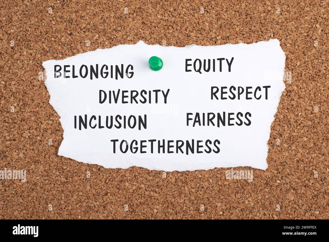 Diversity, equity and inclusion, human rights, fairness and respect, no ...