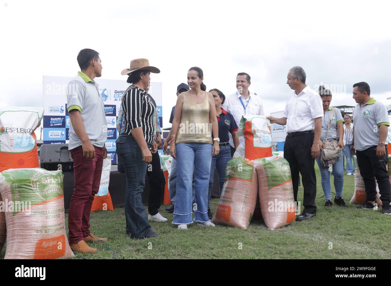 Productores de semillas hi-res stock photography and images - Alamy