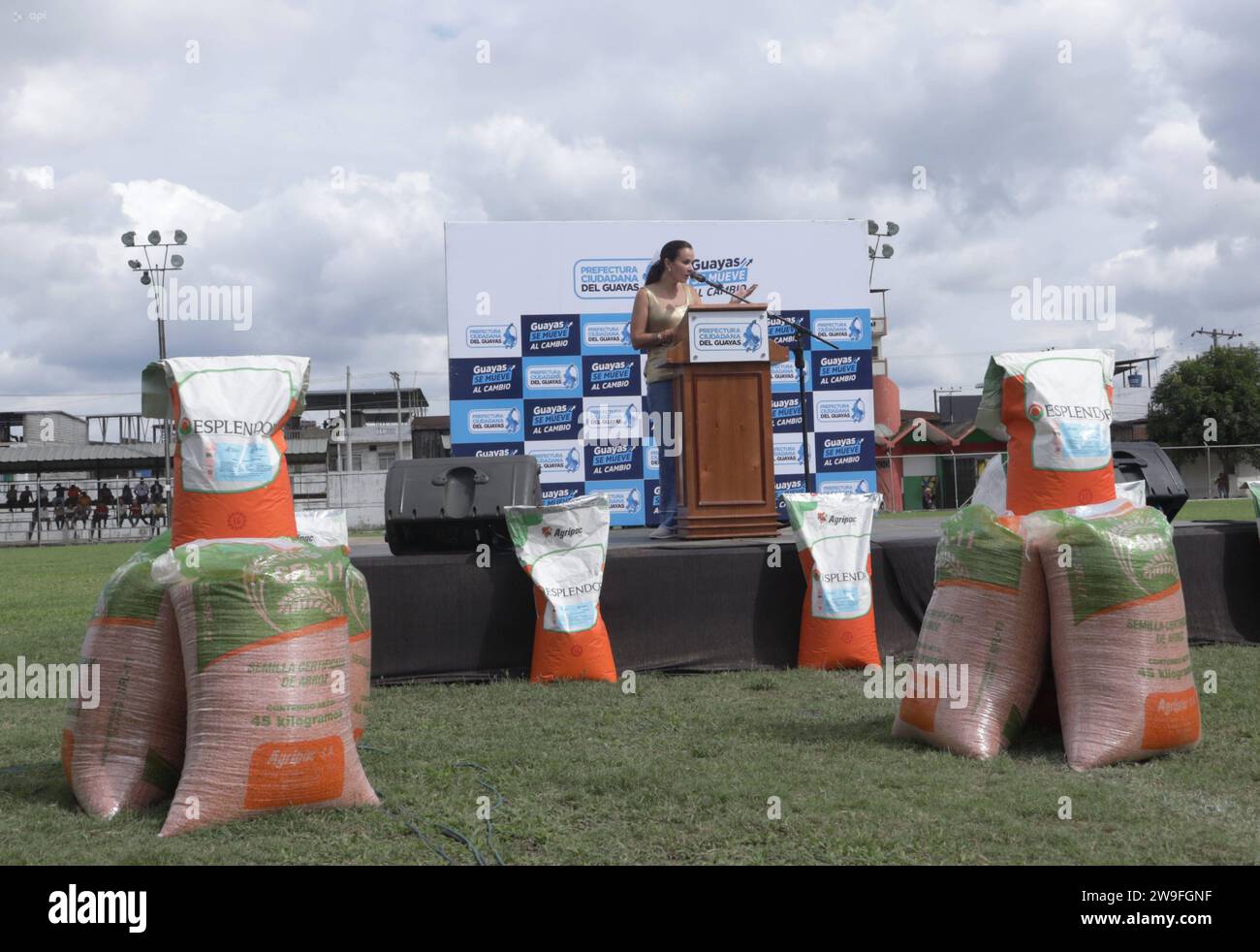 GYE-SEMILLAS CERTIFICADAS Balzar, Guayas, miÃ rcoles 27 de diciembre ...