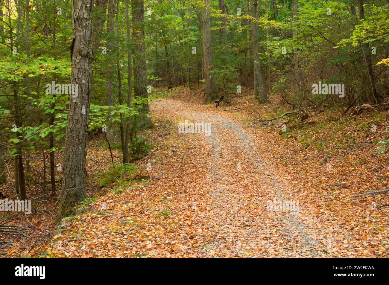 White Trail, Case Mountain Recreation Area, Manchester, Connecticut ...