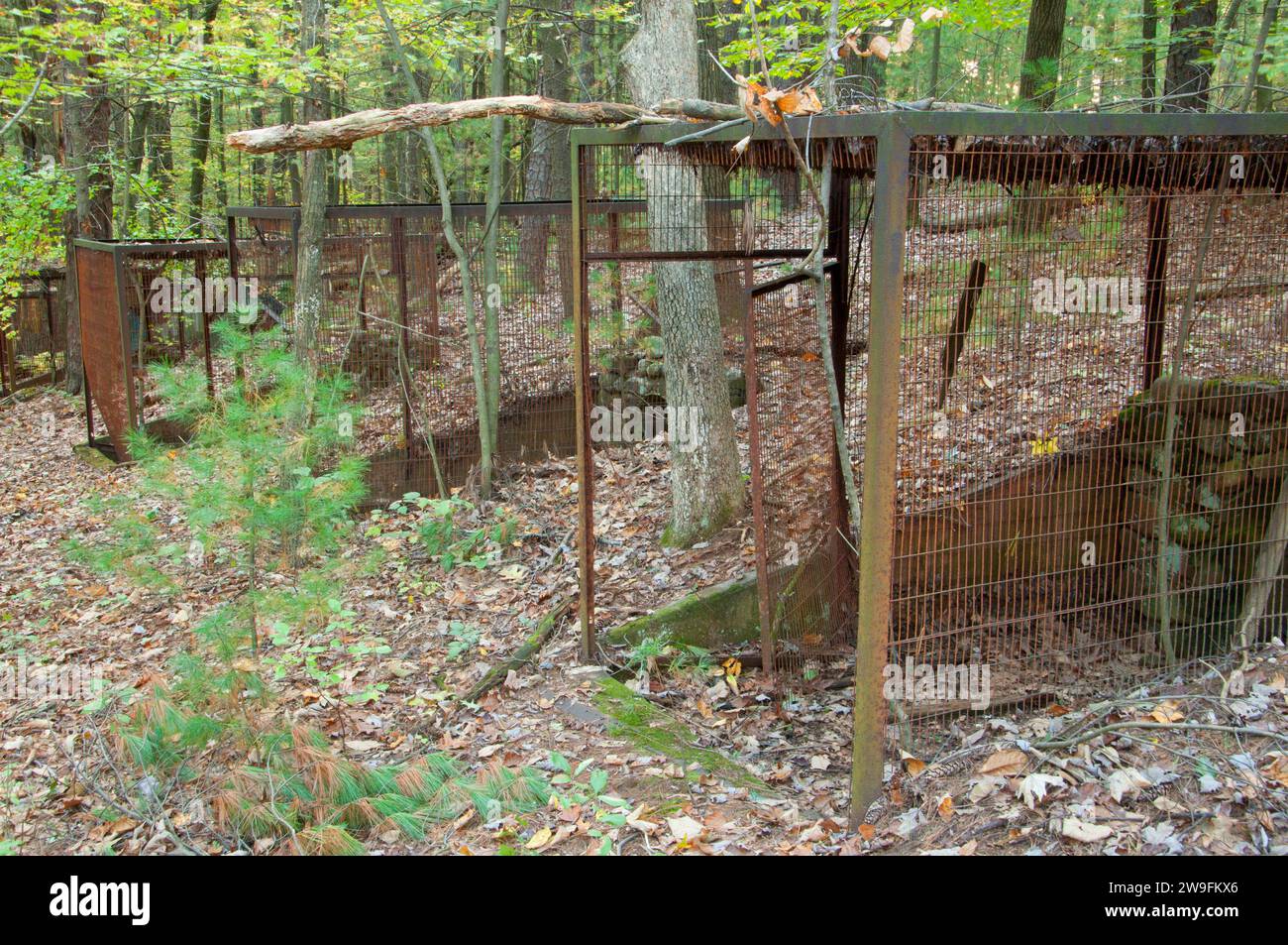 Historic zoo cage, Shade Swamp Sanctuary, Connecticut Stock Photo - Alamy