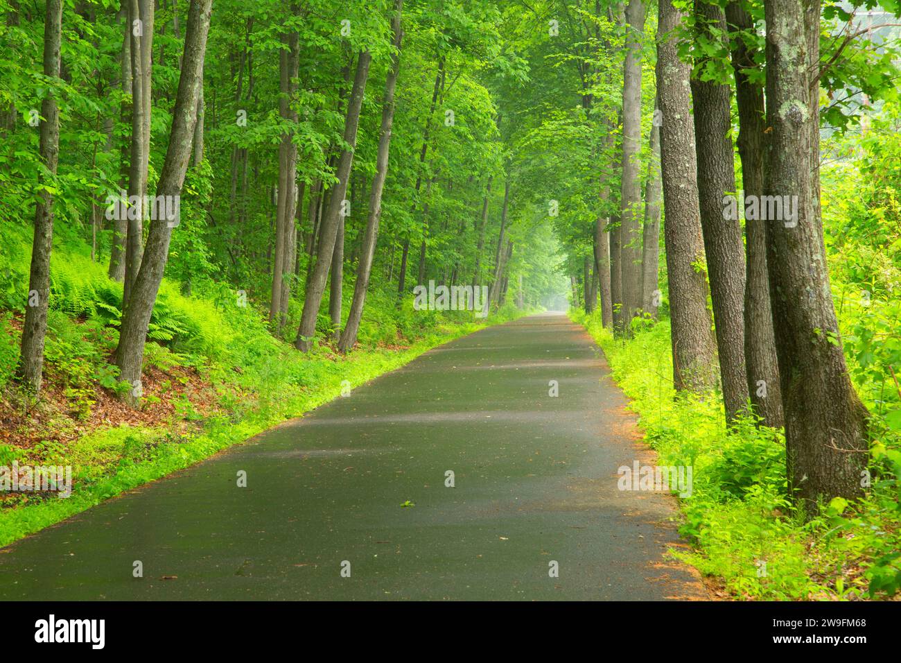 Farmington Canal Heritage Trail, Farmington, Connecticut Stock Photo ...