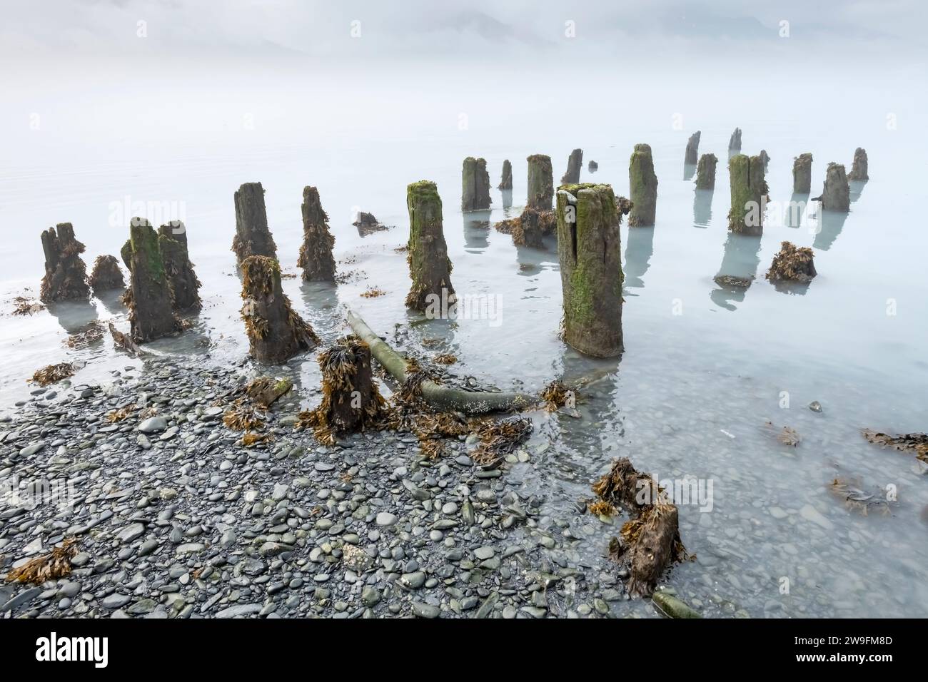 North America; United States; Alaska; Valdez Arm; Fog: Old Vaaldez Dock ...