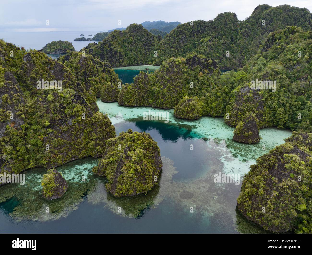 Limestone islands rise from the impressive seascape in Misool, Raja ...