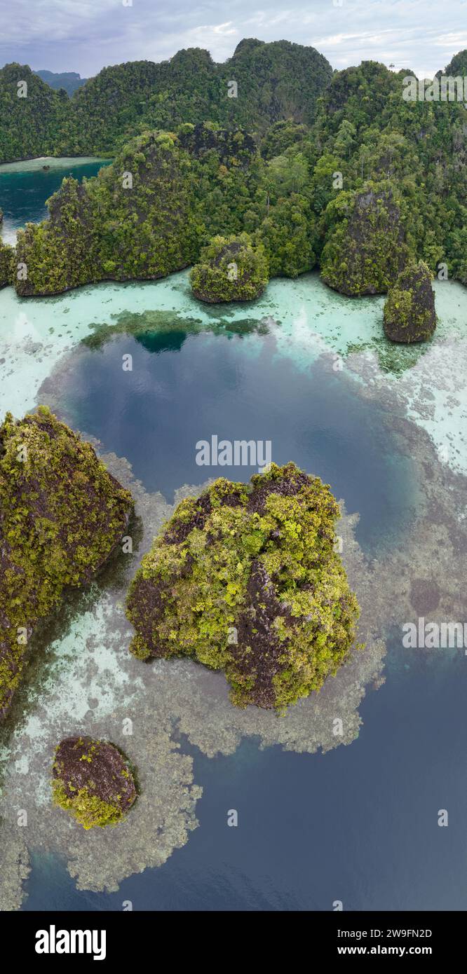 Limestone islands are fringed by beautiful reefs in Misool, Raja Ampat ...