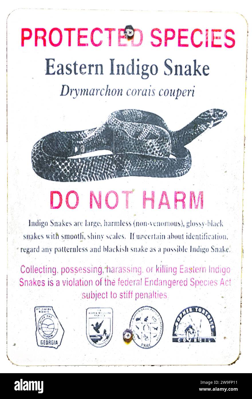 Endangered threatened and protected species Cut Out Stock Images ...