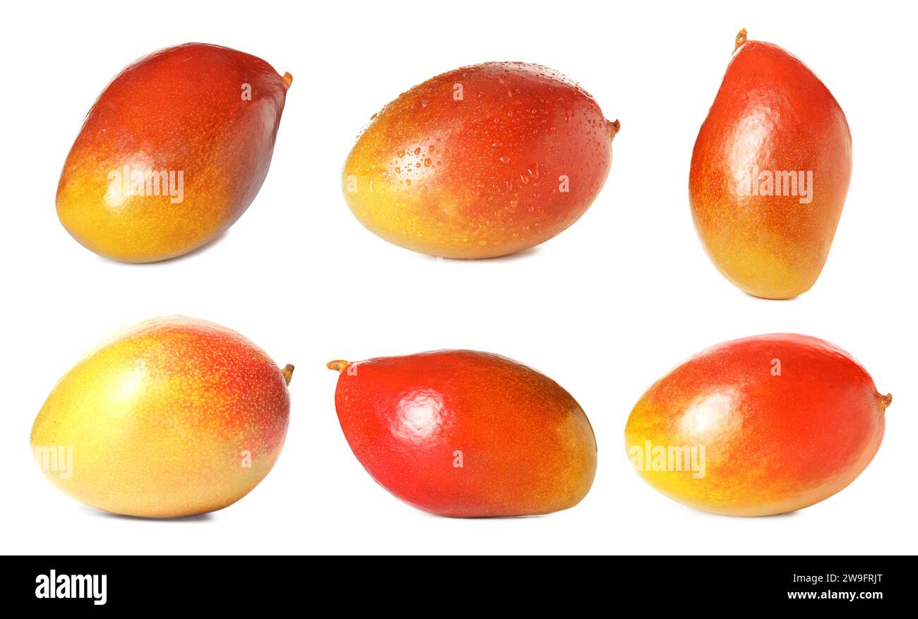 Fresh mango fruits isolated on white, set Stock Photo - Alamy