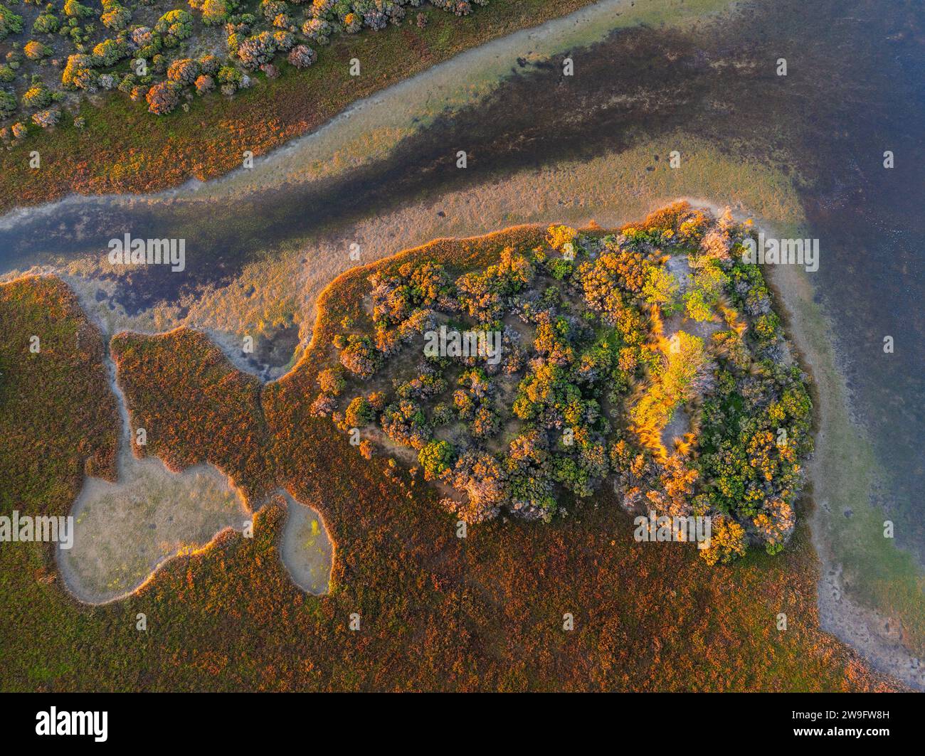 Aerial view of patterns in vegetation of marshy wetlands on Swan Island ...