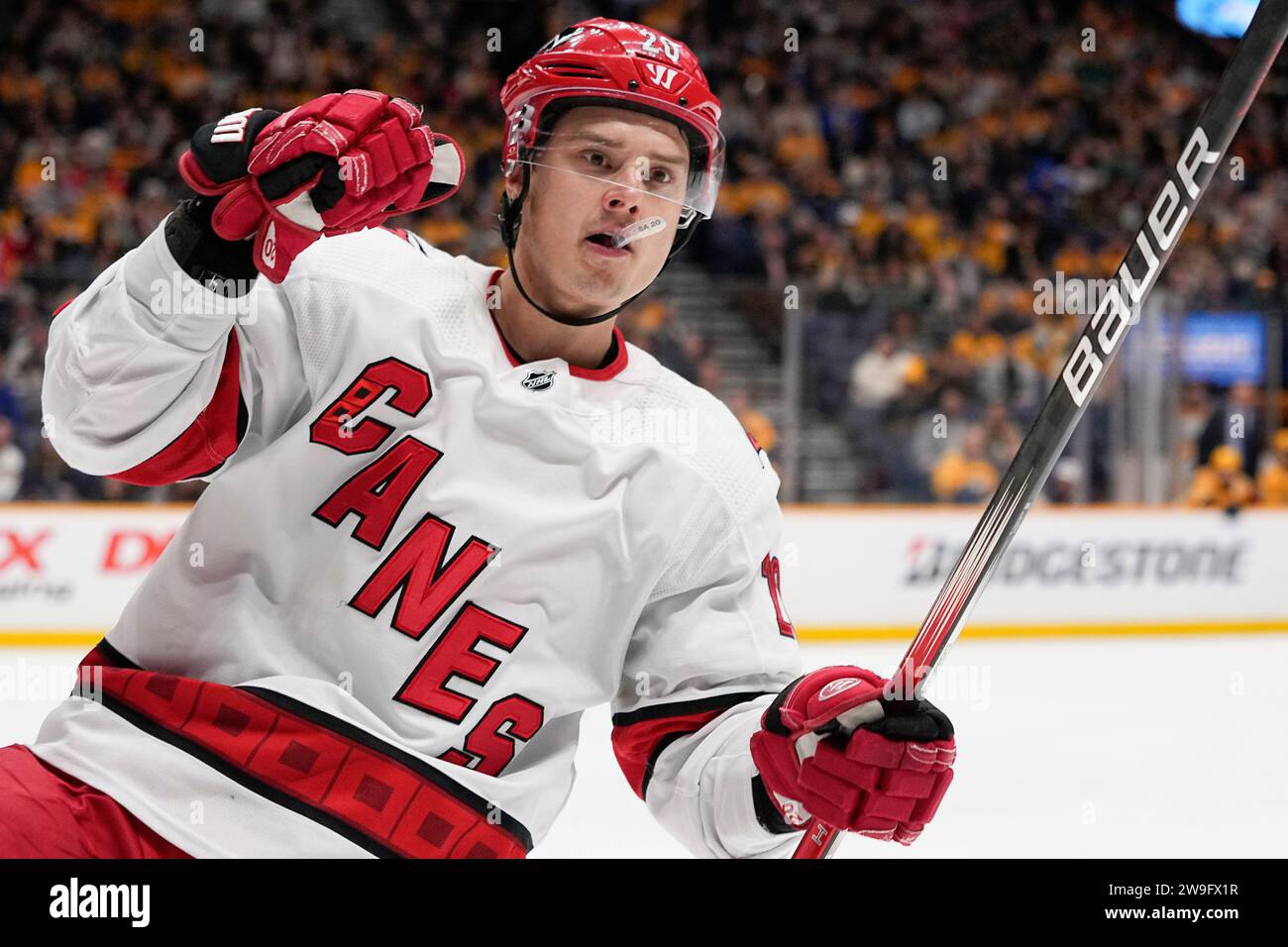 Carolina Hurricanes center Sebastian Aho (20) celebrates a goal against ...