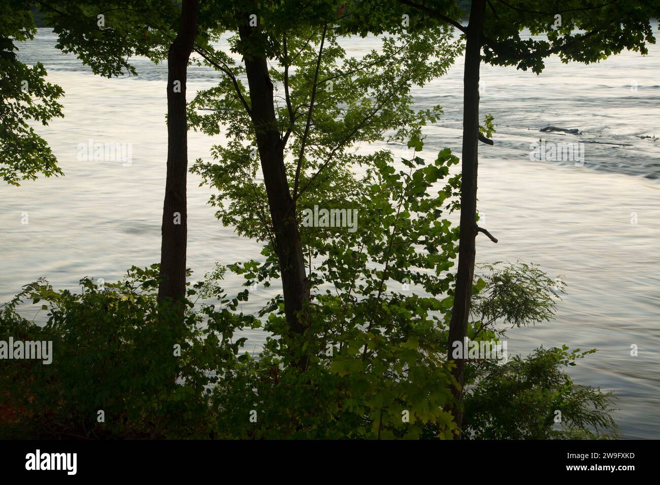Connecticut River dawn, Windsor Locks Canal State Park Trail ...