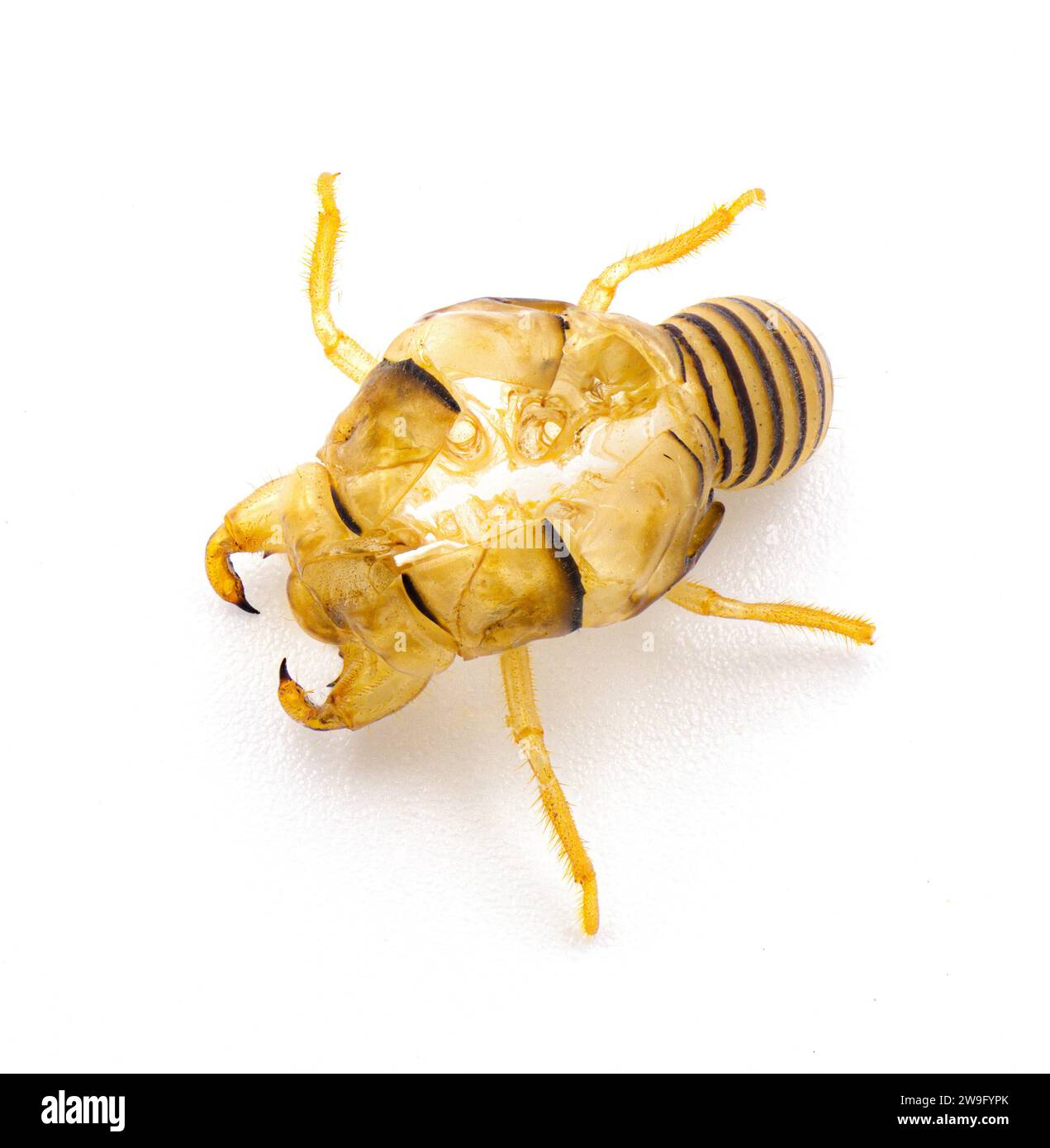 Slough view Cut Out Stock Images & Pictures - Alamy