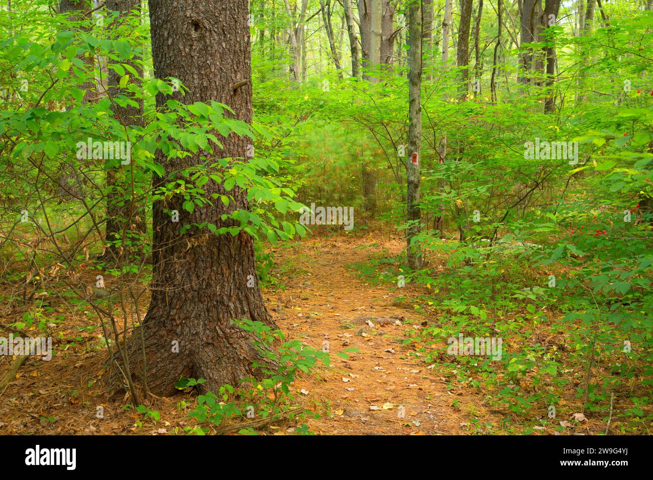 Center barnes hi-res stock photography and images - Alamy