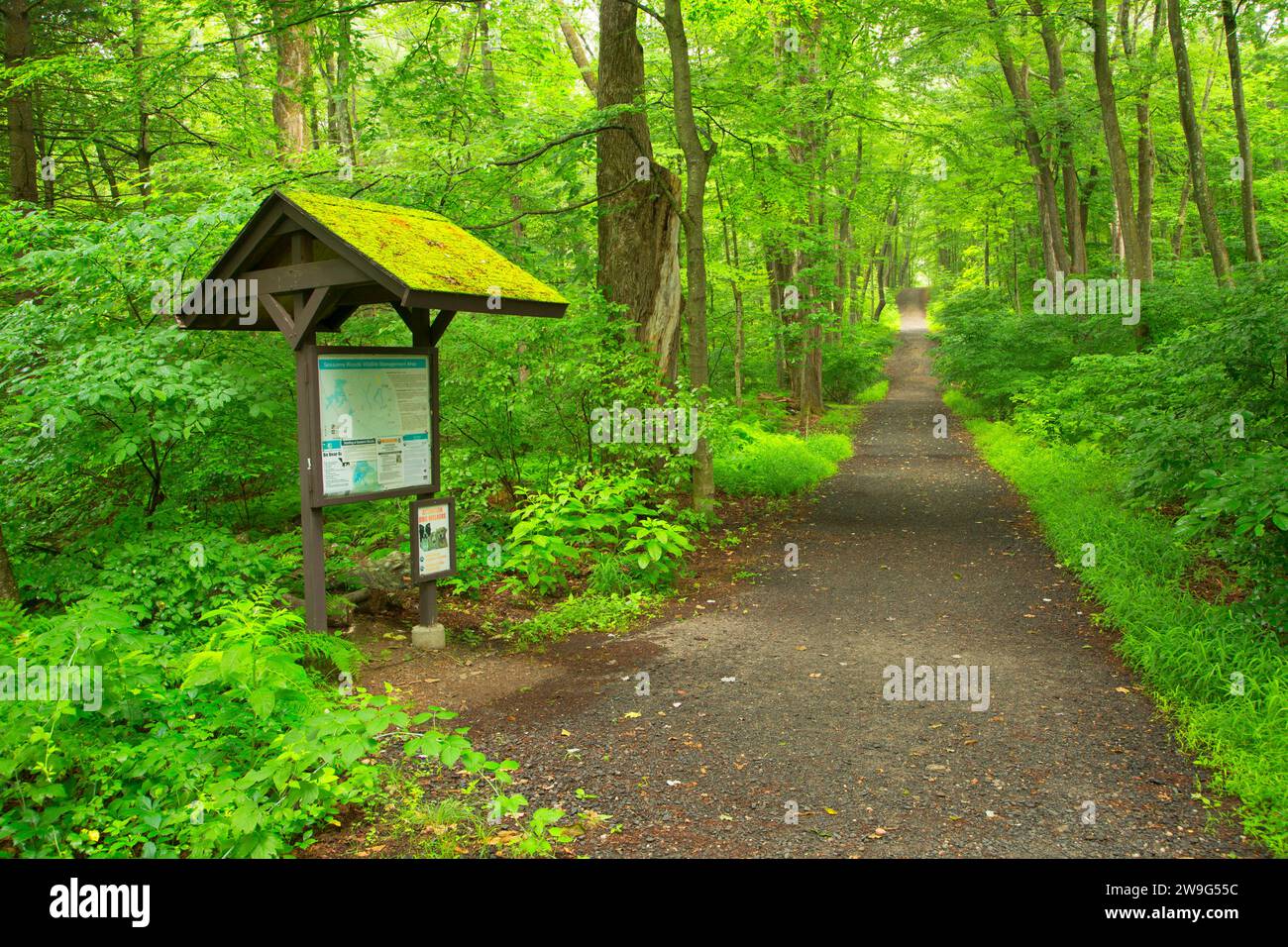 Trailhead kiosk, Session Woods Wildlife Management Area, Connecticut ...
