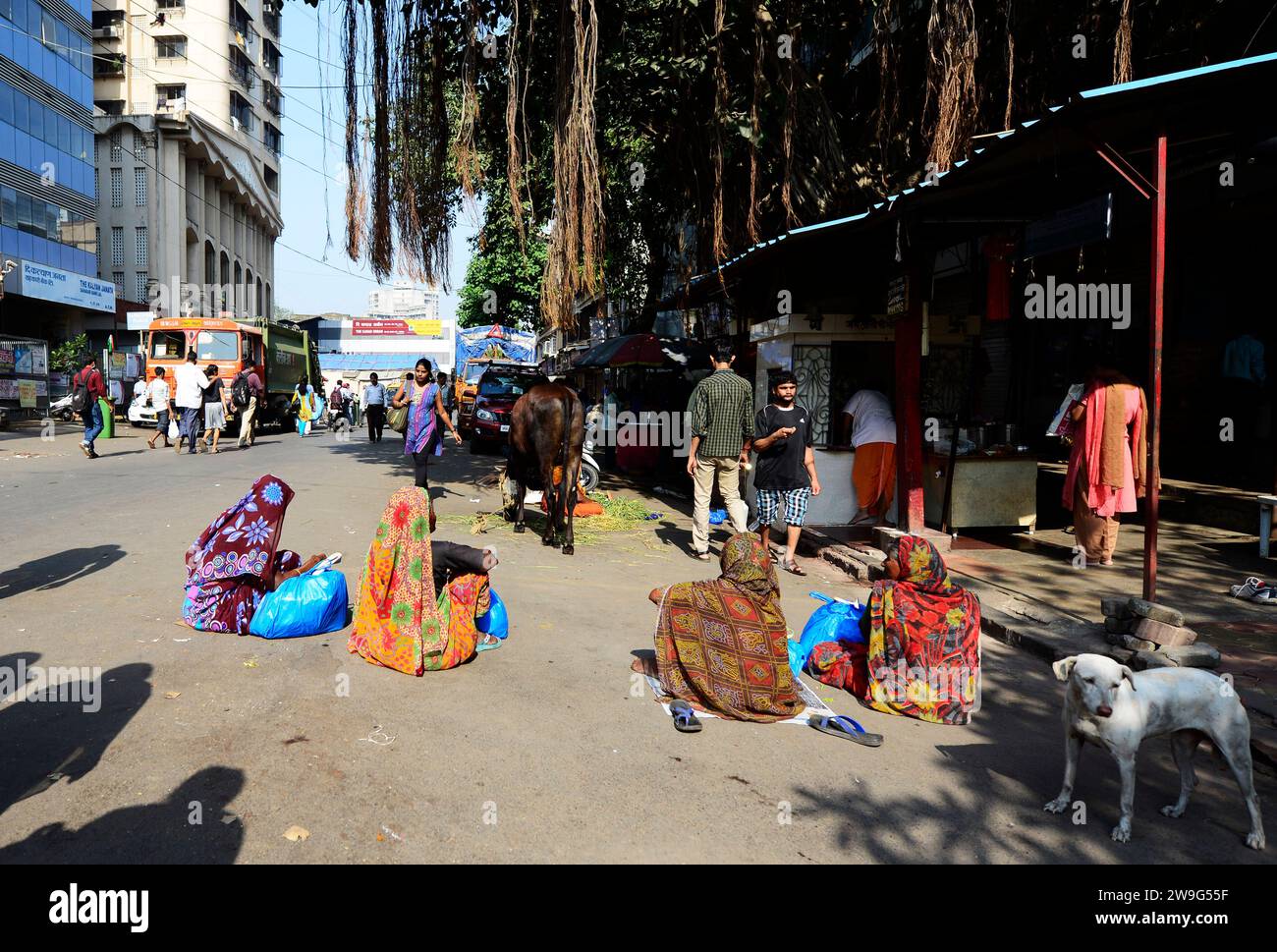 Saree wearing women hi-res stock photography and images - Alamy