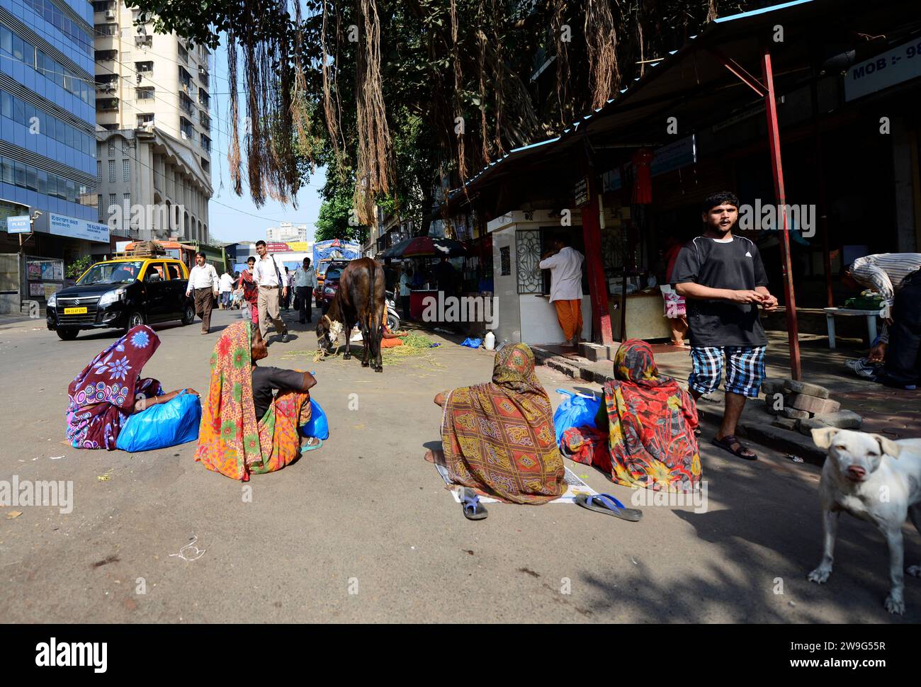 Saree wearing women hi-res stock photography and images - Alamy