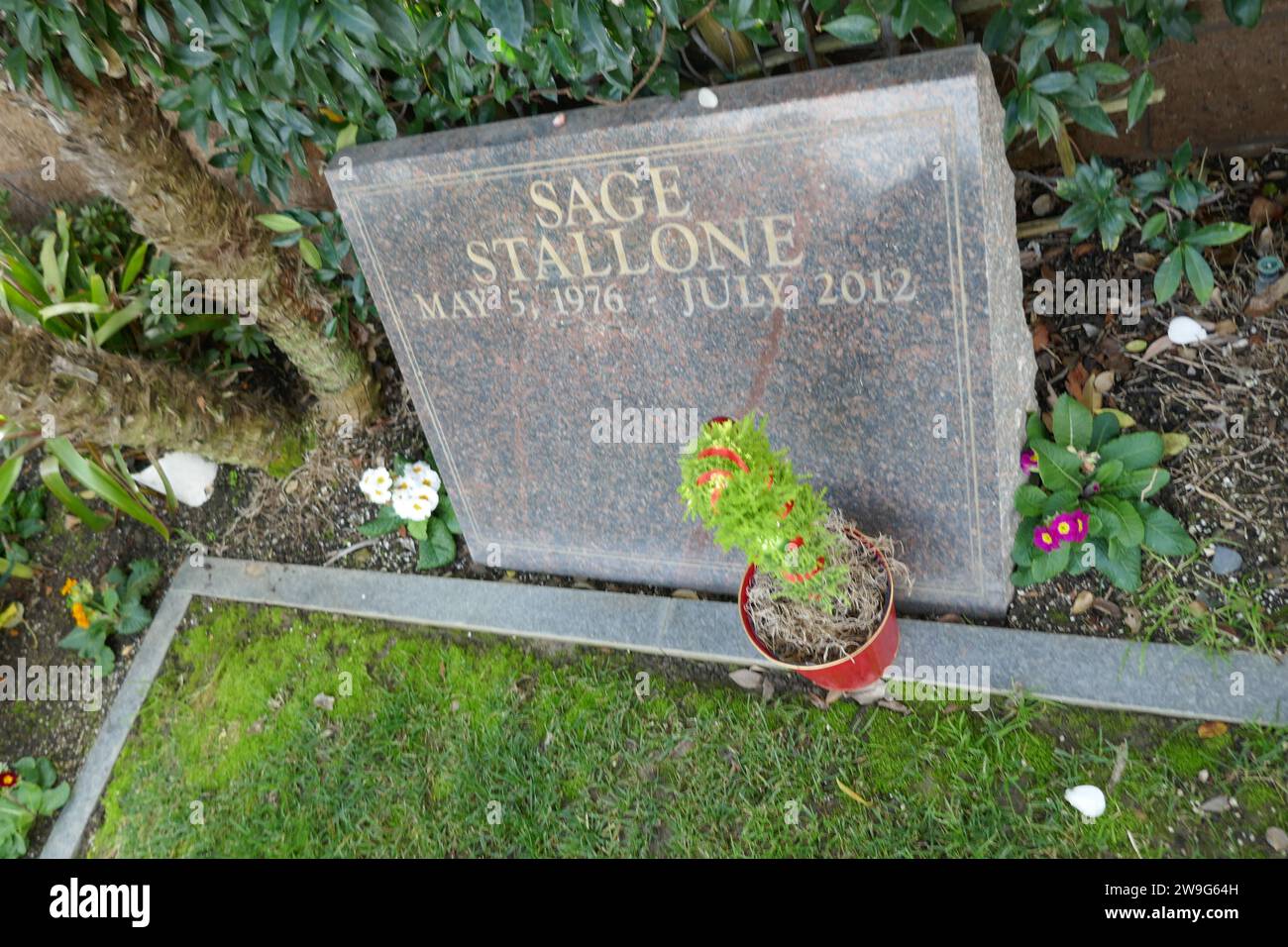 Los Angeles, California, USA 27th December 2023 Actor Sage Stallone ...
