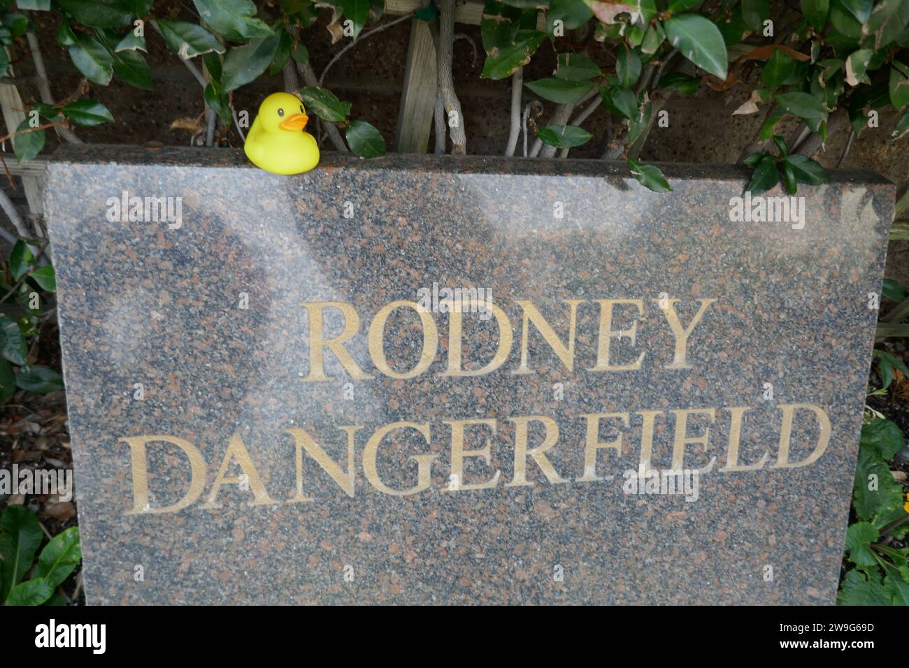Los Angeles, California, USA 27th December 2023 Comedian Rodney ...