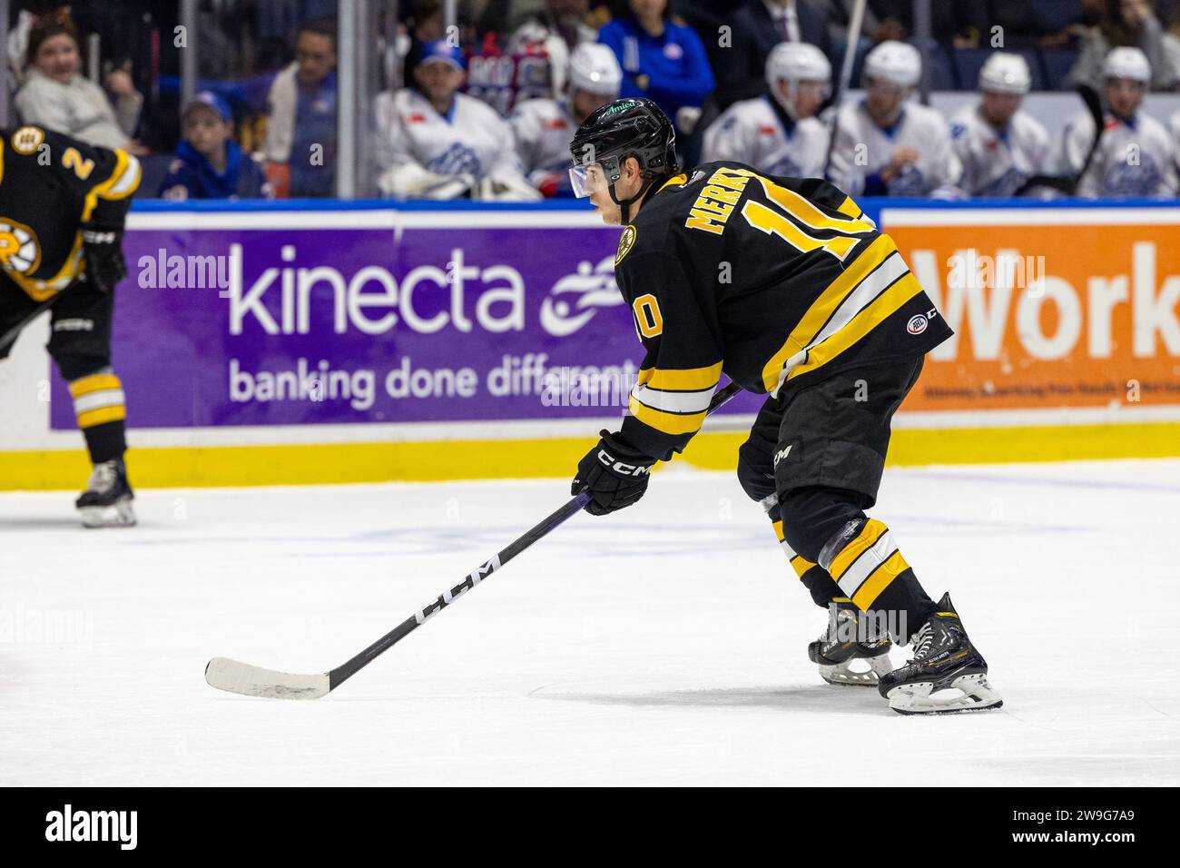 Rochester, New York, USA. 22nd Dec, 2023. Providence Bruins forward ...
