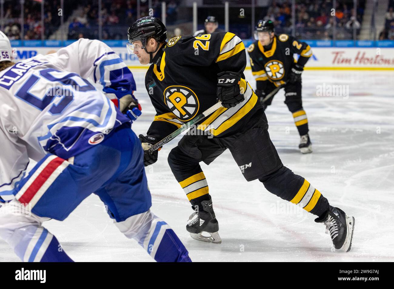 Rochester, New York, USA. 22nd Dec, 2023. Providence Bruins forward ...