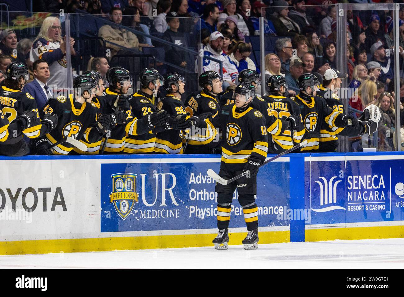 Rochester, New York, USA. 22nd Dec, 2023. Providence Bruins forward ...