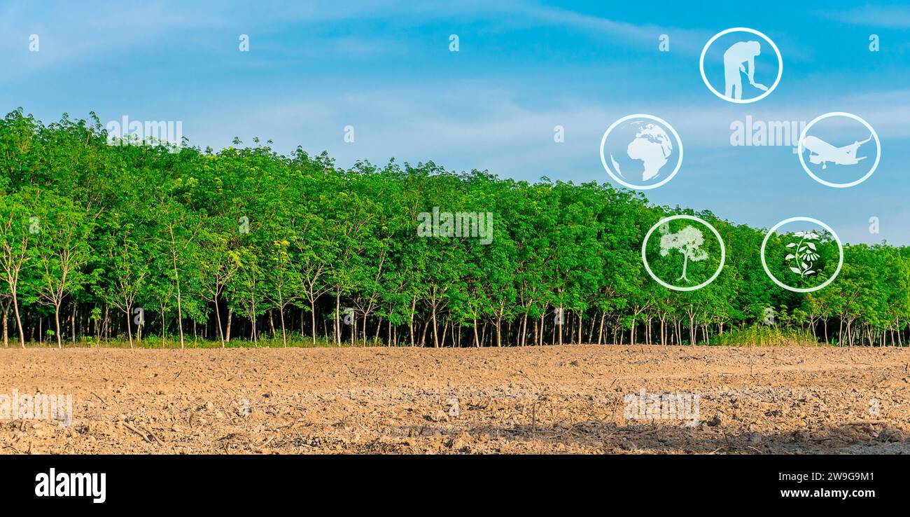 Tourism resources and agricultural learning, Rubber plantation farming ...