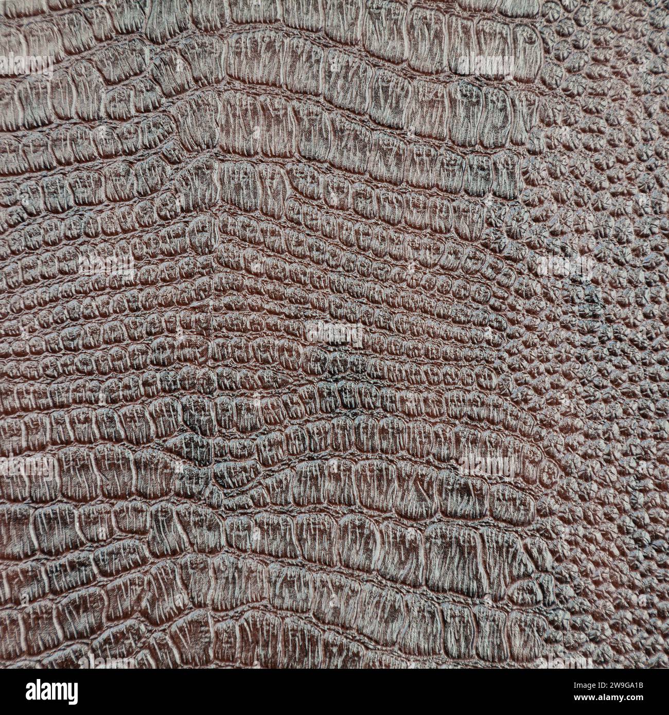 Background image - textured texture of brown crocodile skin Stock Photo ...