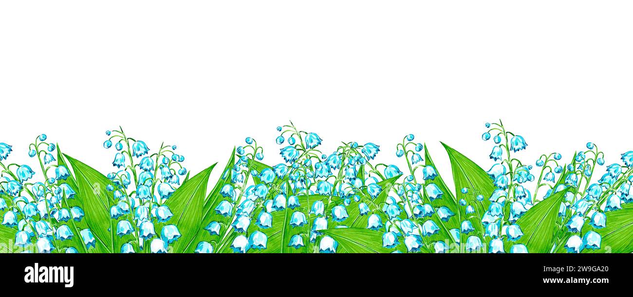 Hand drawn watercolor lily of the valley banner border isolated on ...