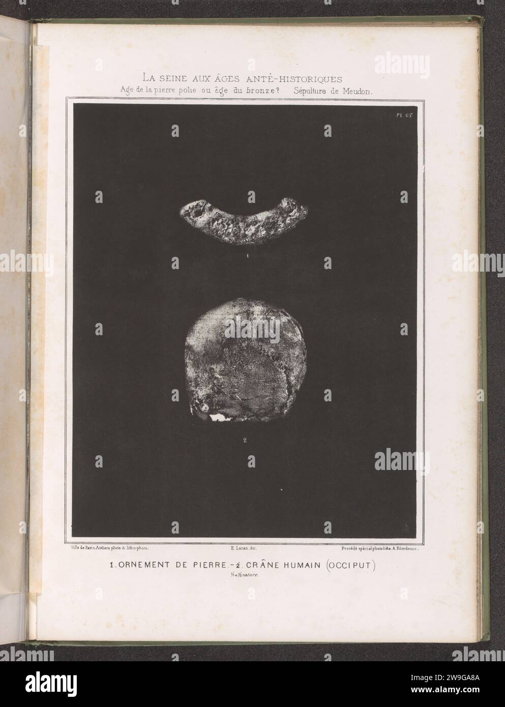 Ornamental stone and back of a human skull, c. 1860 - in or before 1869 ...