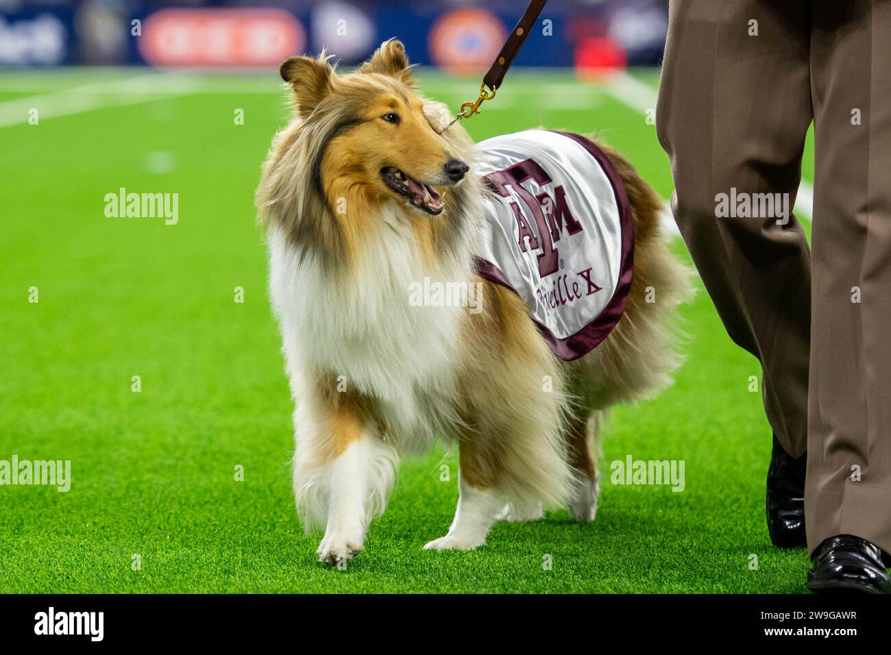 Houston, TX, USA. 27th Dec, 2023. Texas A&M Aggies mascot Reveille X ...