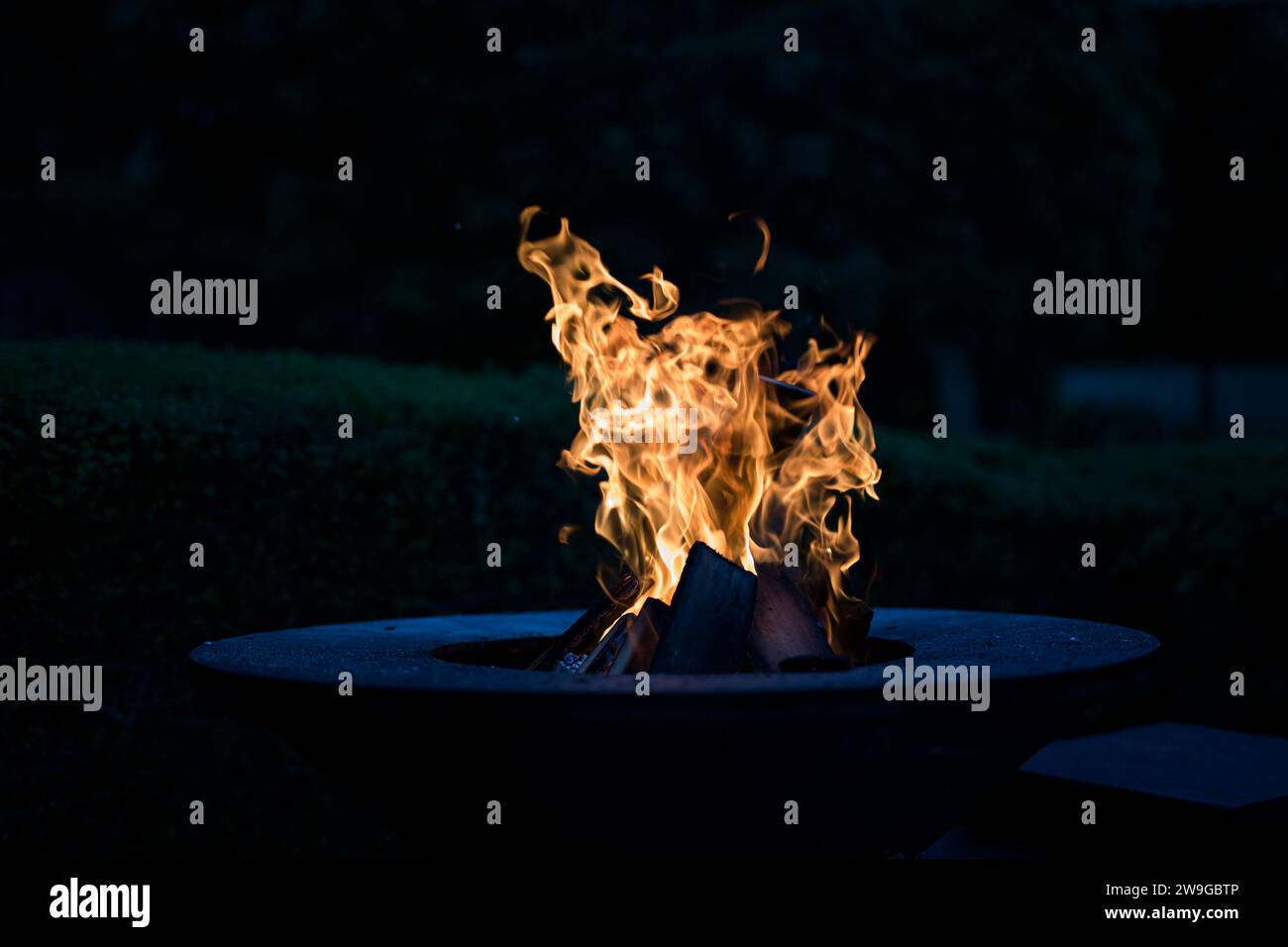 File and flame blue and orange fire in night scene. you can see the ...