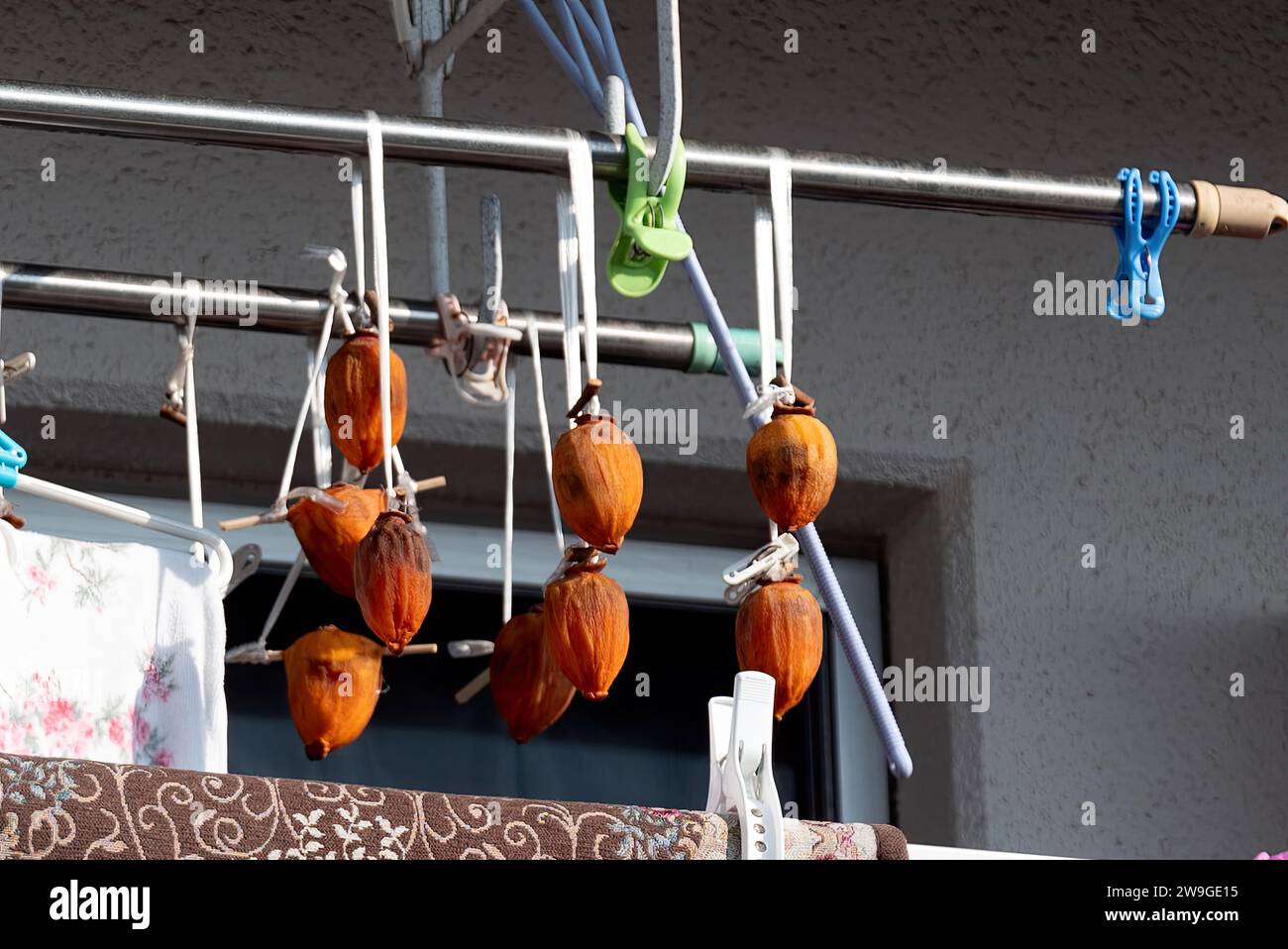 Hoshigaki - the process of drying persimmons by hanging them outside ...
