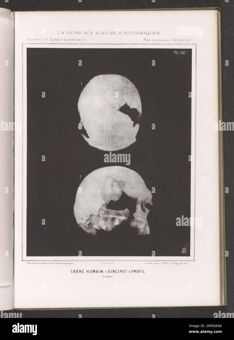 Two views of a human skull, top view and and profil, c. 1860 - in or ...