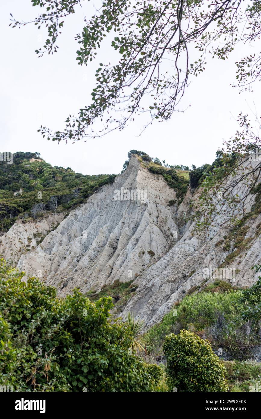 A photo of the rock cliffside located at cape palliser in Wellington ...