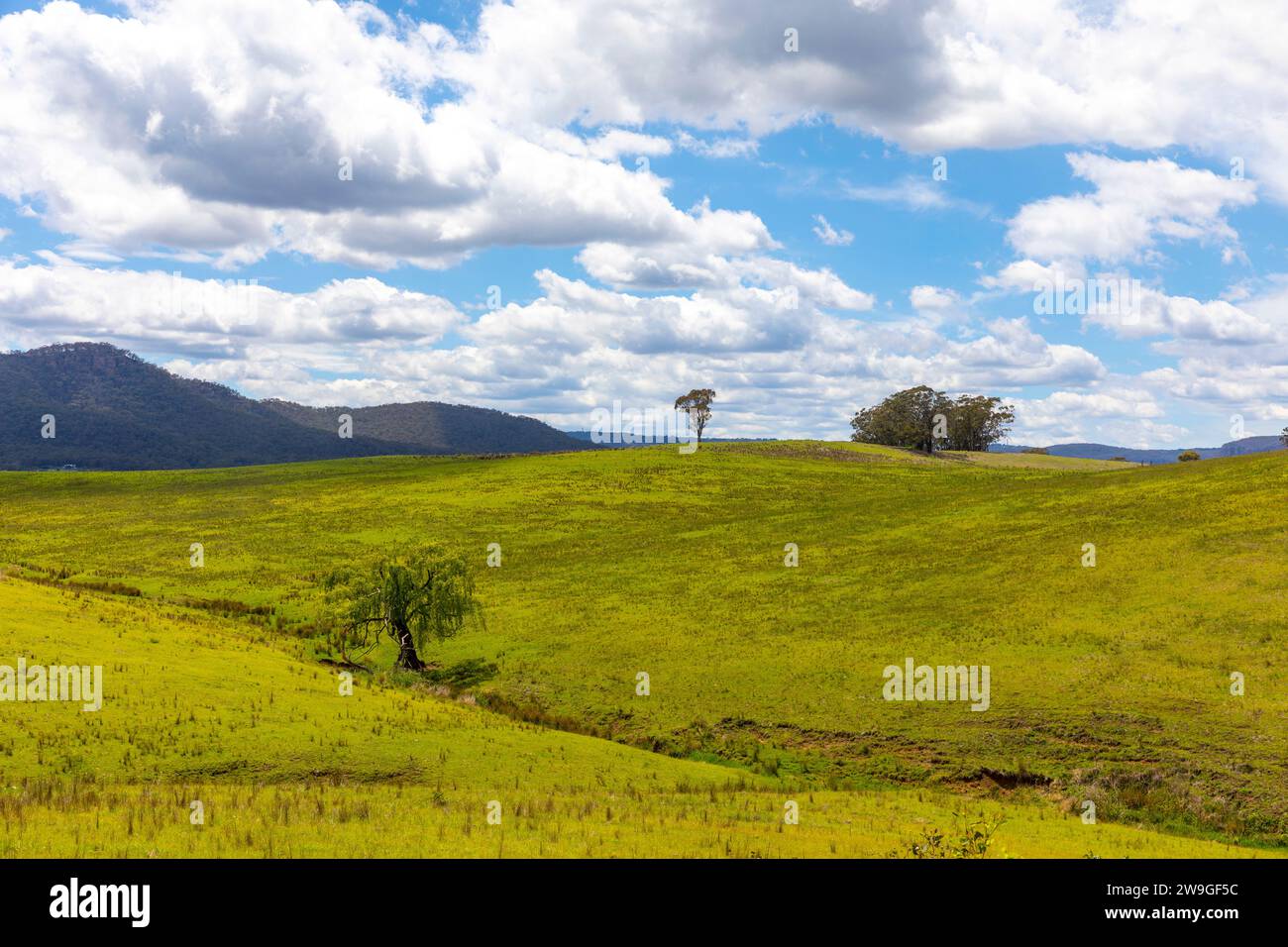 Australian landscape in New South Wales with view of blue mountains ...