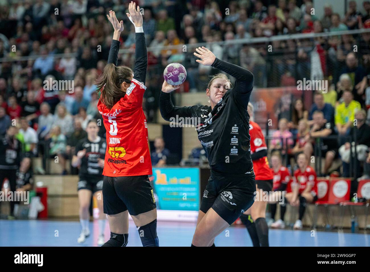 Halle, Deutschland. 27th Dec, 2023. Halle, Deutschland 27. Dezember ...