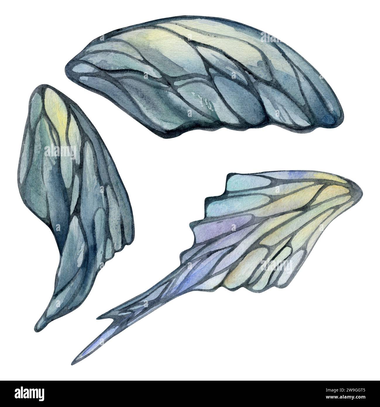 Hand drawn watercolor illustration butterfly fairy wings gem crystal ...