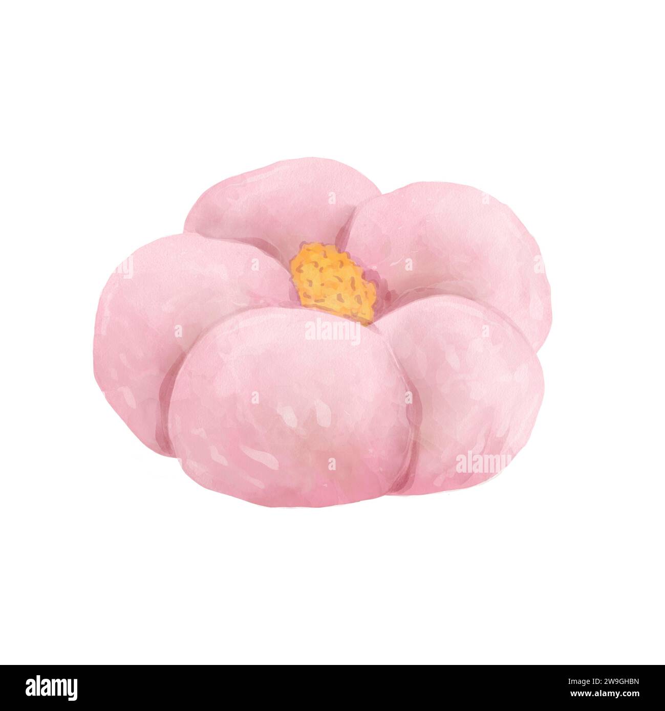 Traditional Japanese dessert pink flower made from rice flour. Hand ...