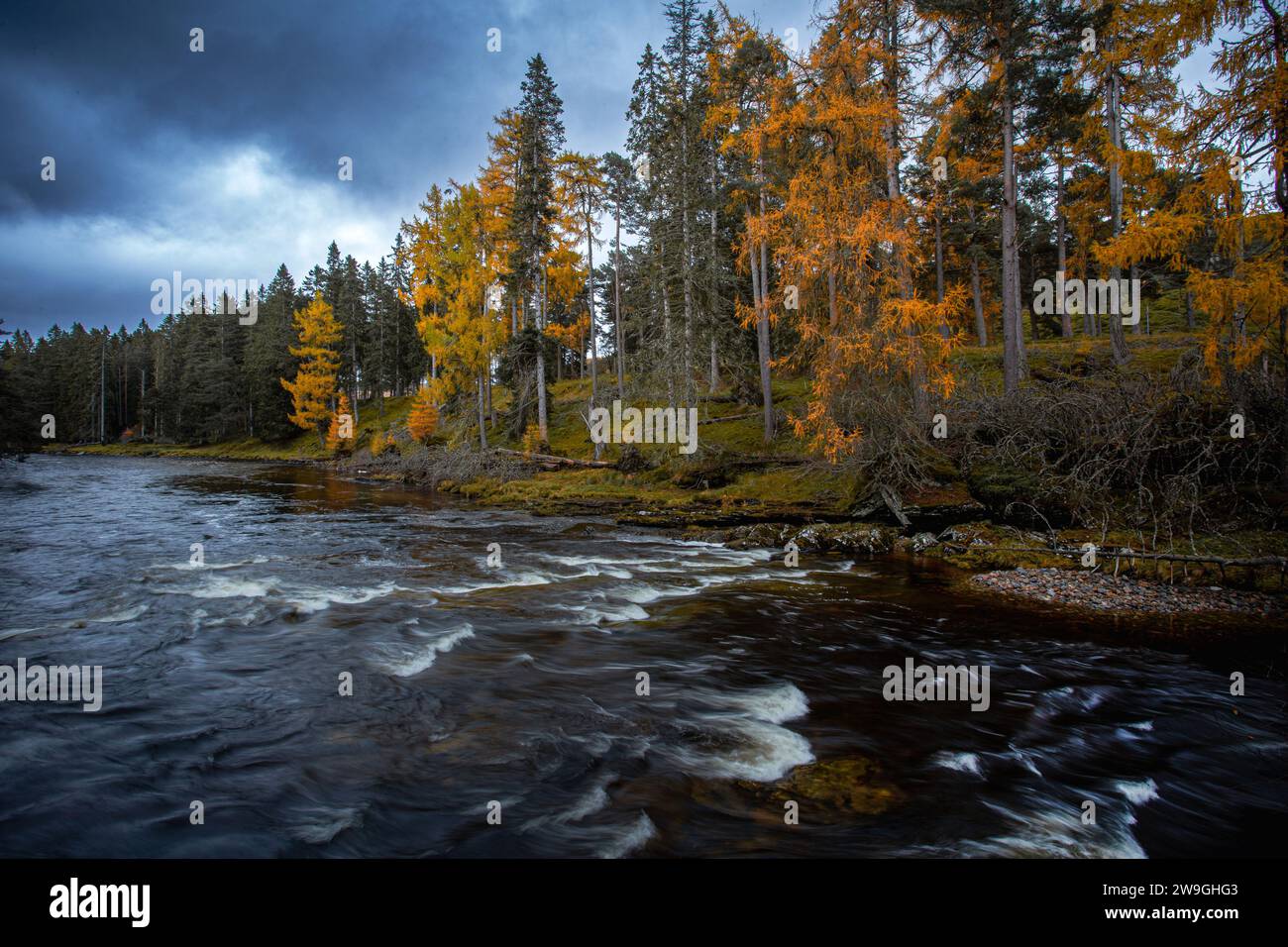 Scenic riverside trail on the Linn of Dee circular walk near Muir ...