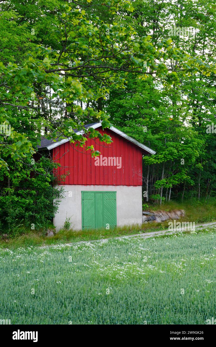 View of a traditional red barn in the Norwegian countryside Stock Photo ...
