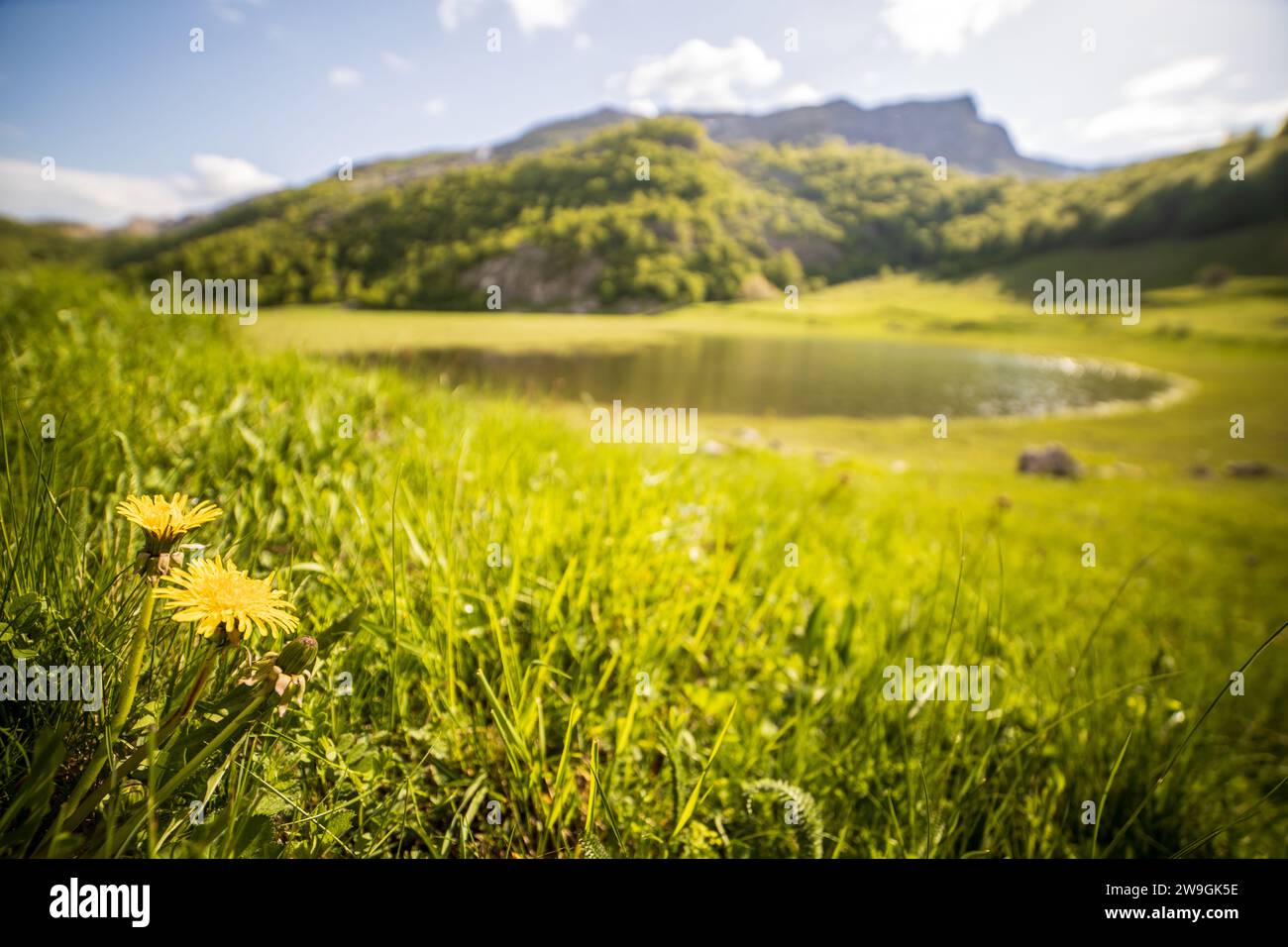 The beauty of untouched wilderness showcased in a panoramic mountain spectacle Stock Photo - Alamy