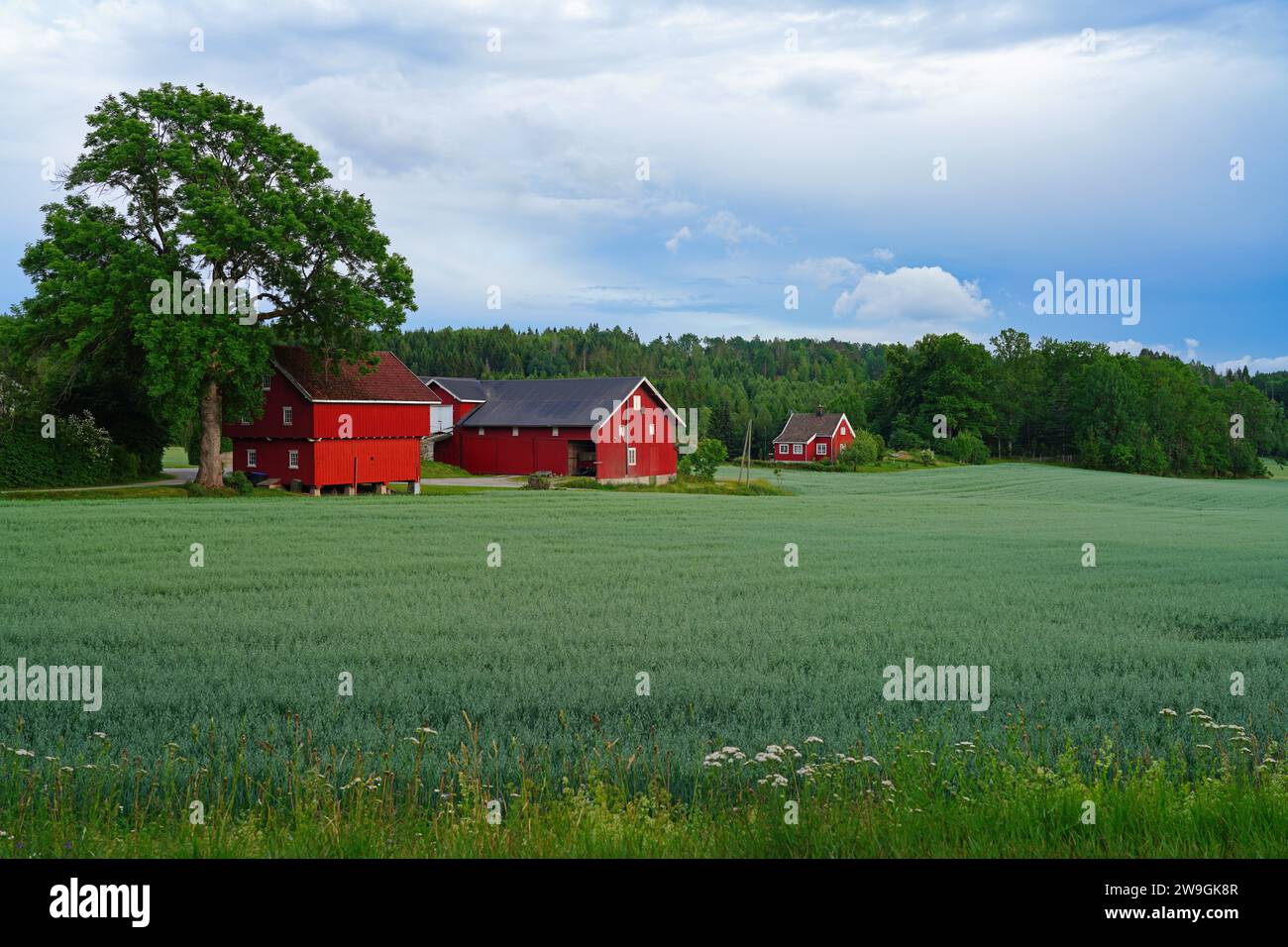 Norwegian red farm barn hi-res stock photography and images - Alamy