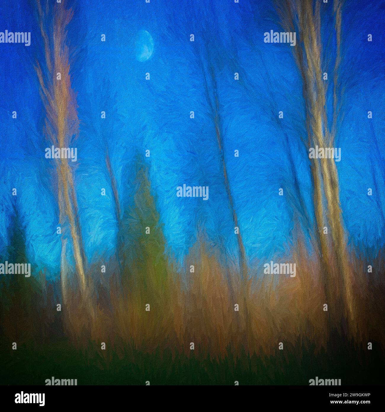 ABSTRACT ART: "Lost in the Forest" by Edmund Nagele FRPS Stock Photo ...