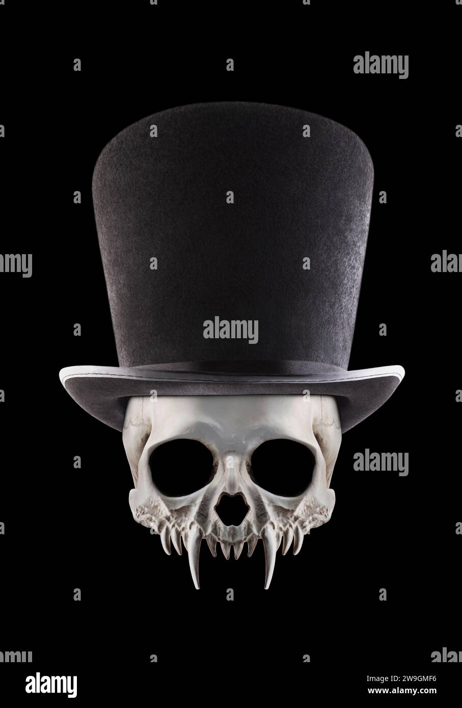 Vampire skull with extra tall black vintage top hat isolated on black ...