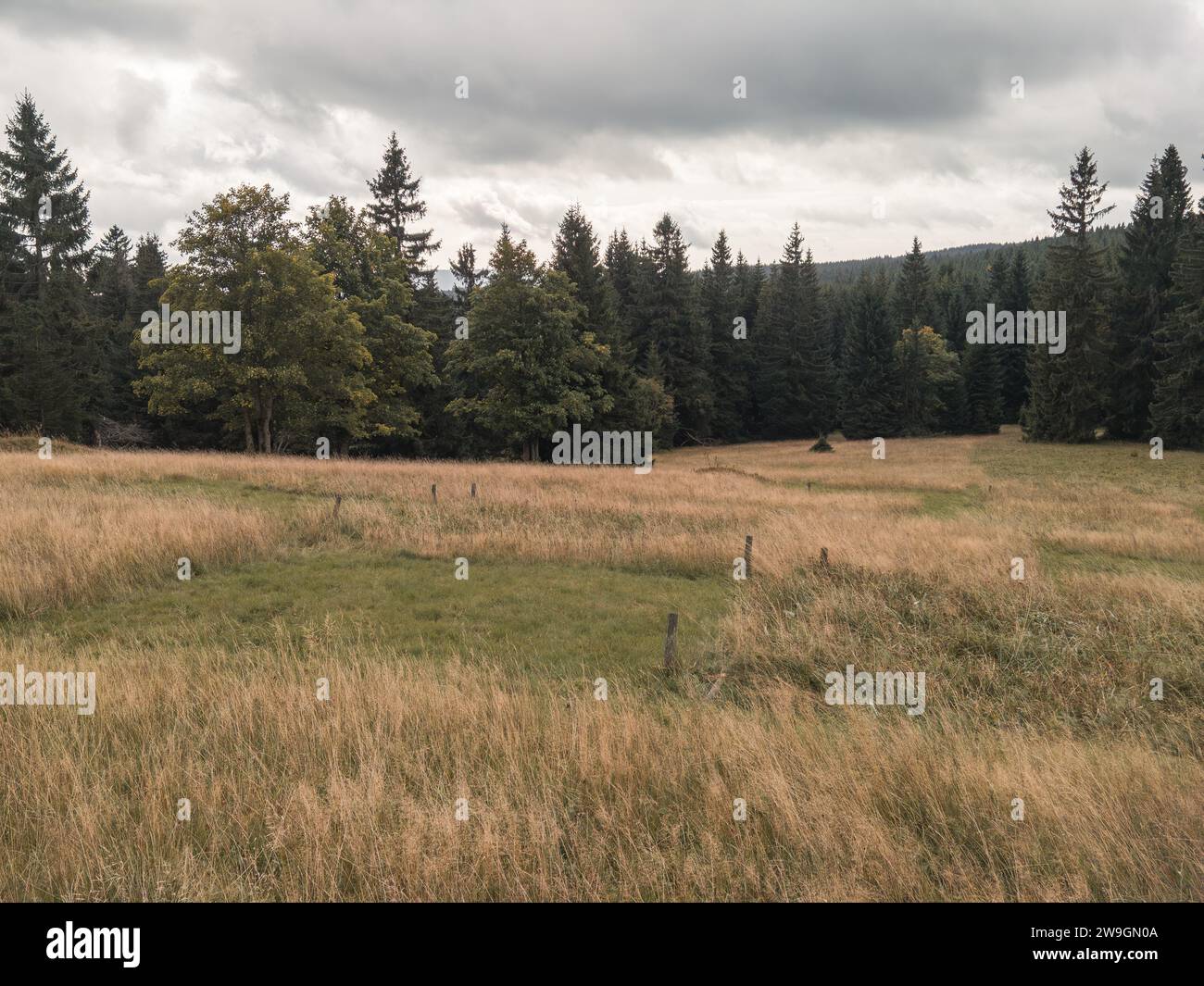 Mountain landscape in the spring in the Jizera Mountains, Jizerka ...
