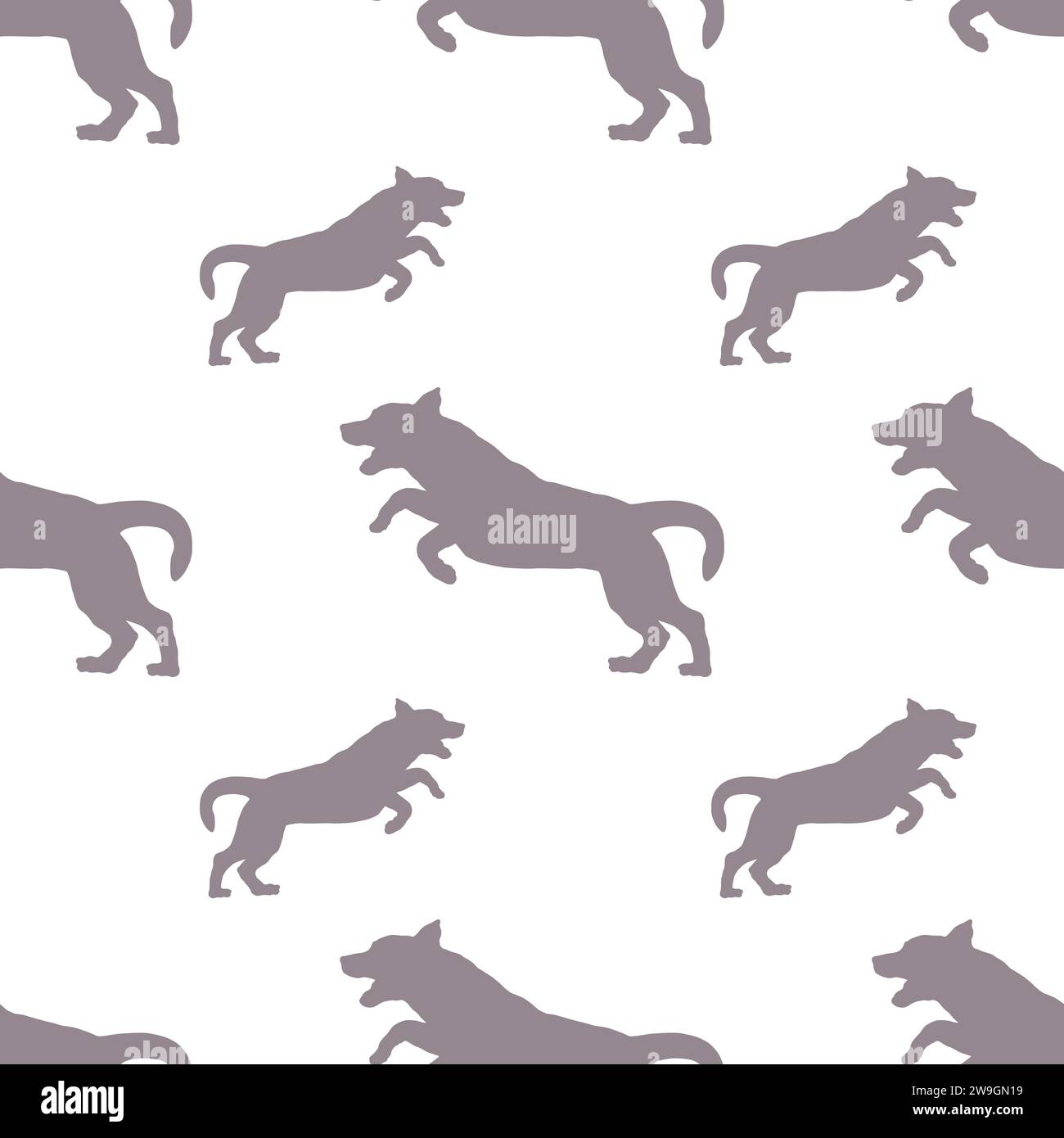 Running and jumping labrador retriever isolated on a white background ...