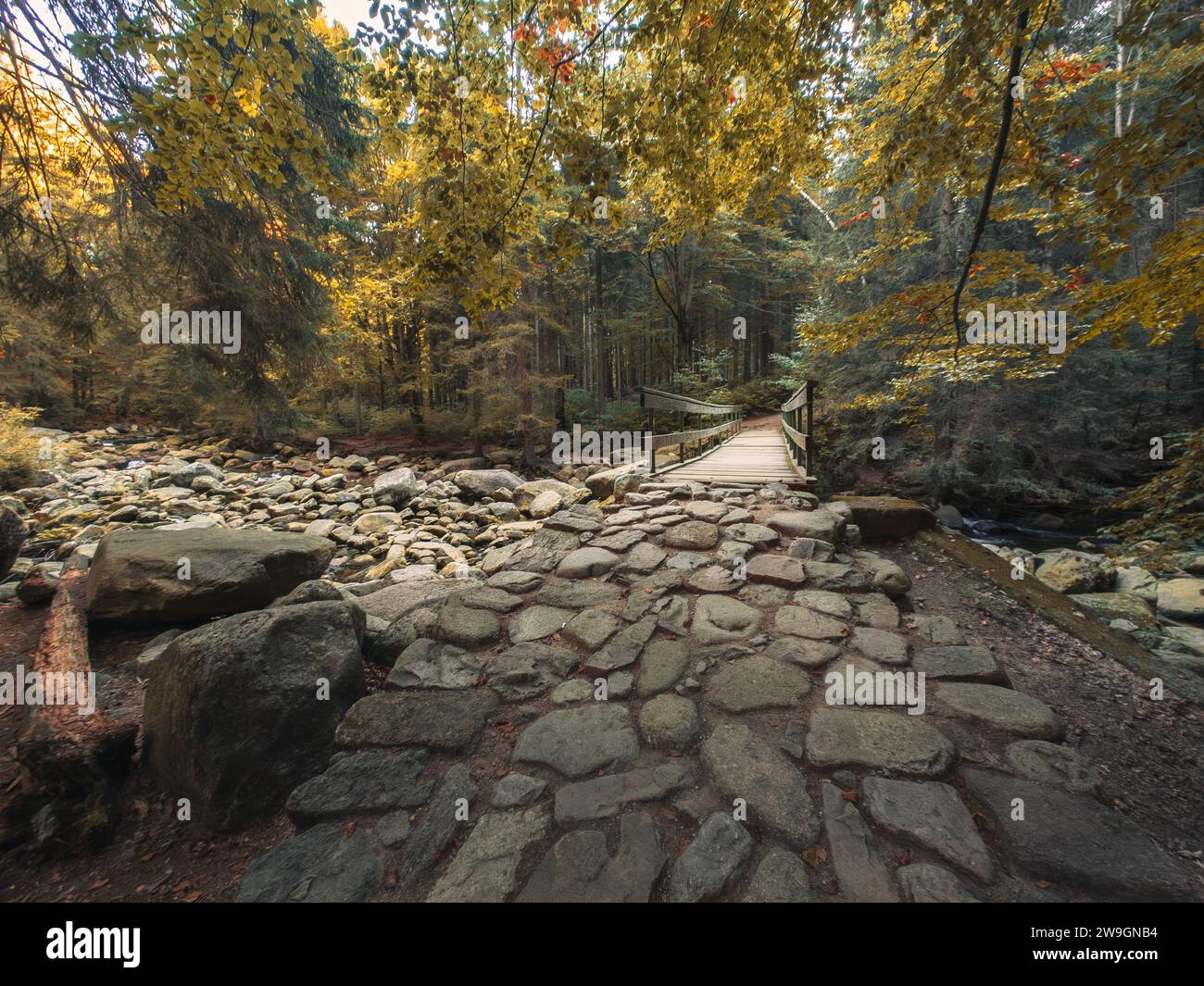 Wooden bridge over the Upa river in the Czech Republic near of small ...