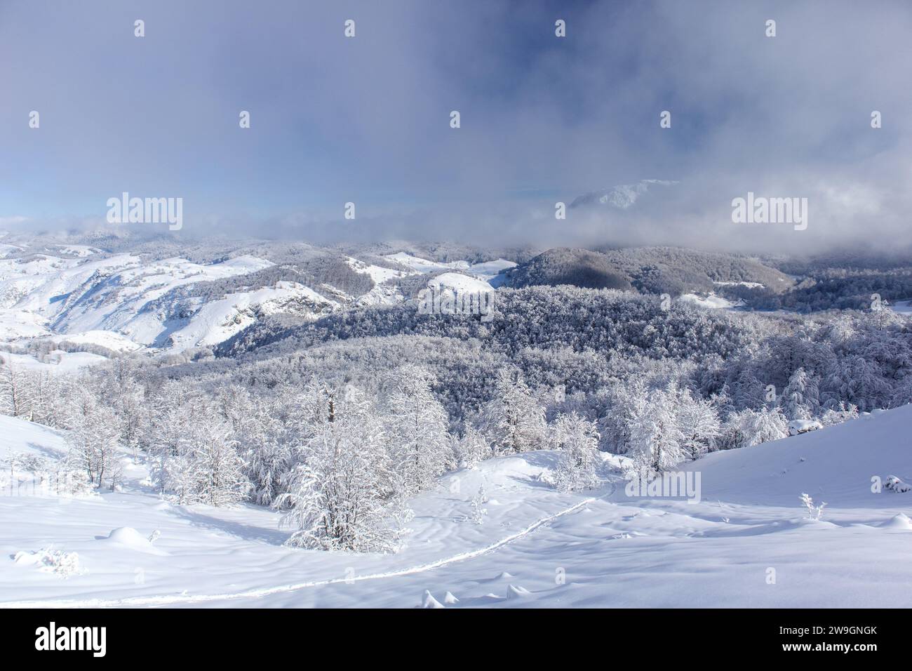 The beauty of untouched wilderness showcased in a panoramic mountain ...