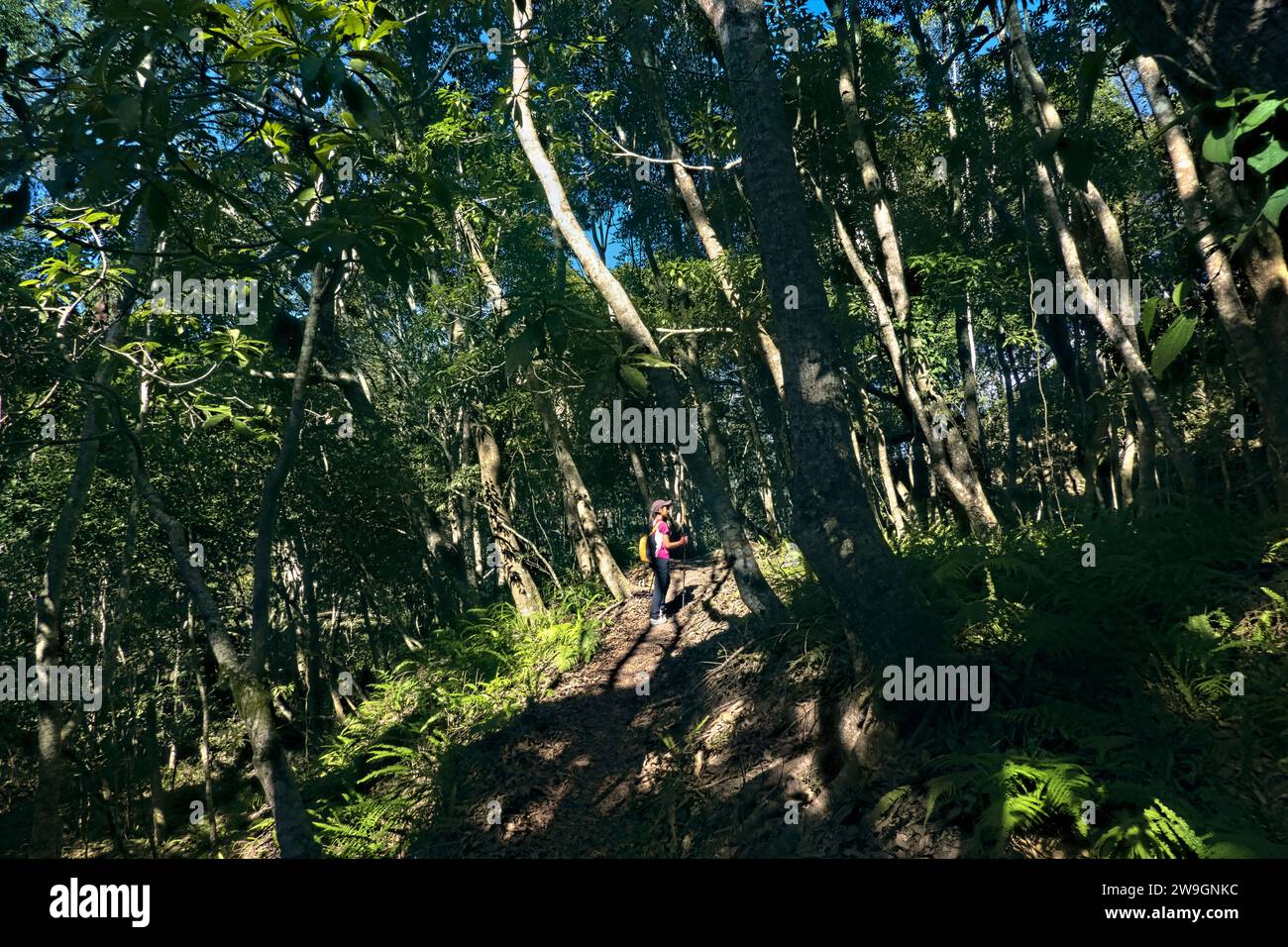 Liushui wenshan trail hi-res stock photography and images - Alamy