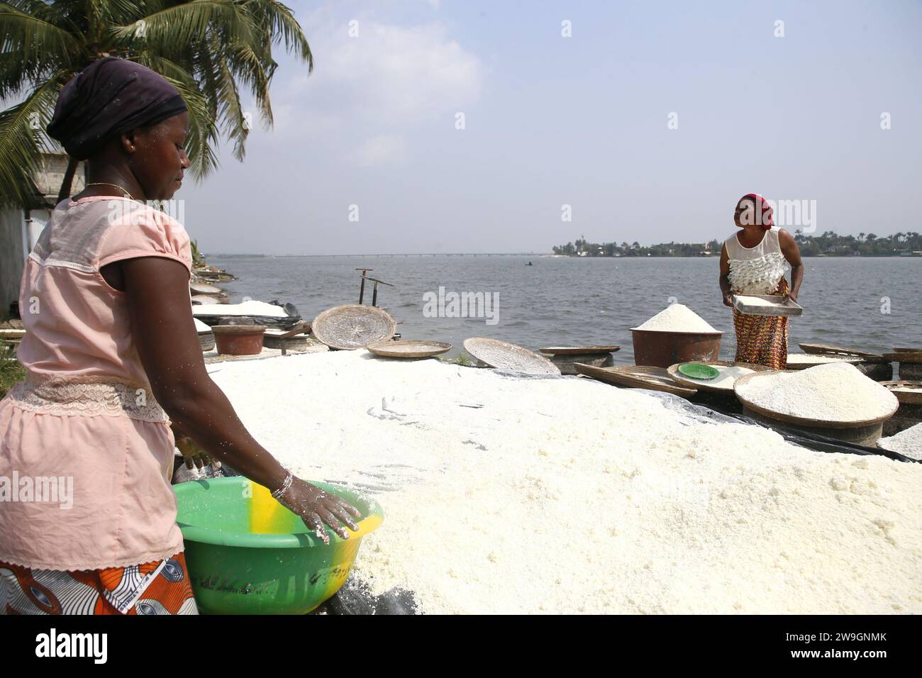 Abidjan, Cote d'Ivoire. 27th Dec, 2023. Women dry cassava root semolina ...