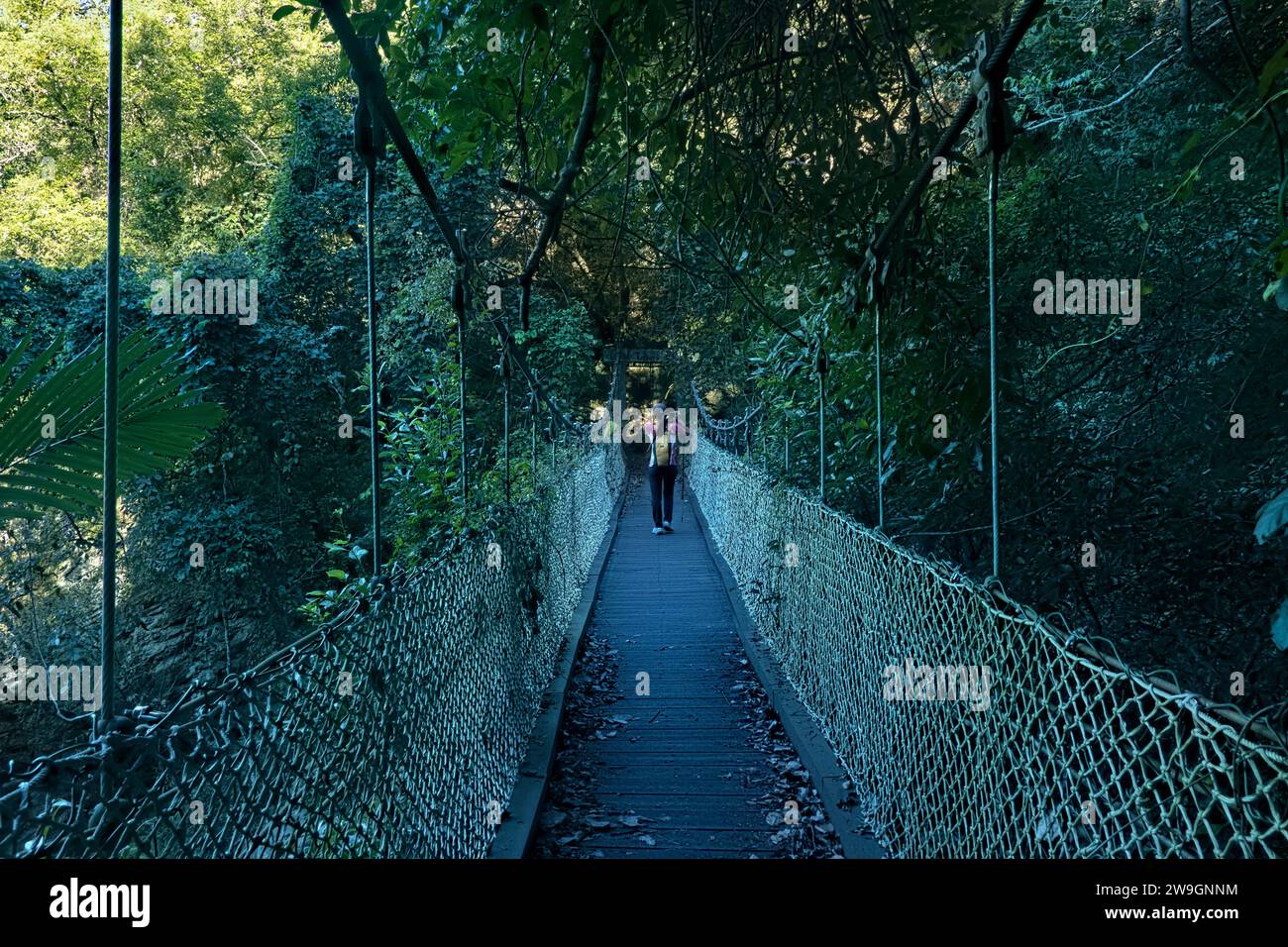 Suspension bridge on the Lushui Wenshan Trail, Taroko National Park ...